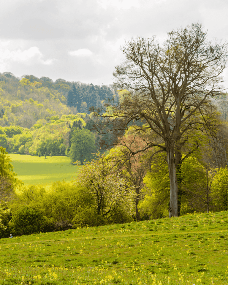 PR Migration - Partner for Australian Migration & Mobility